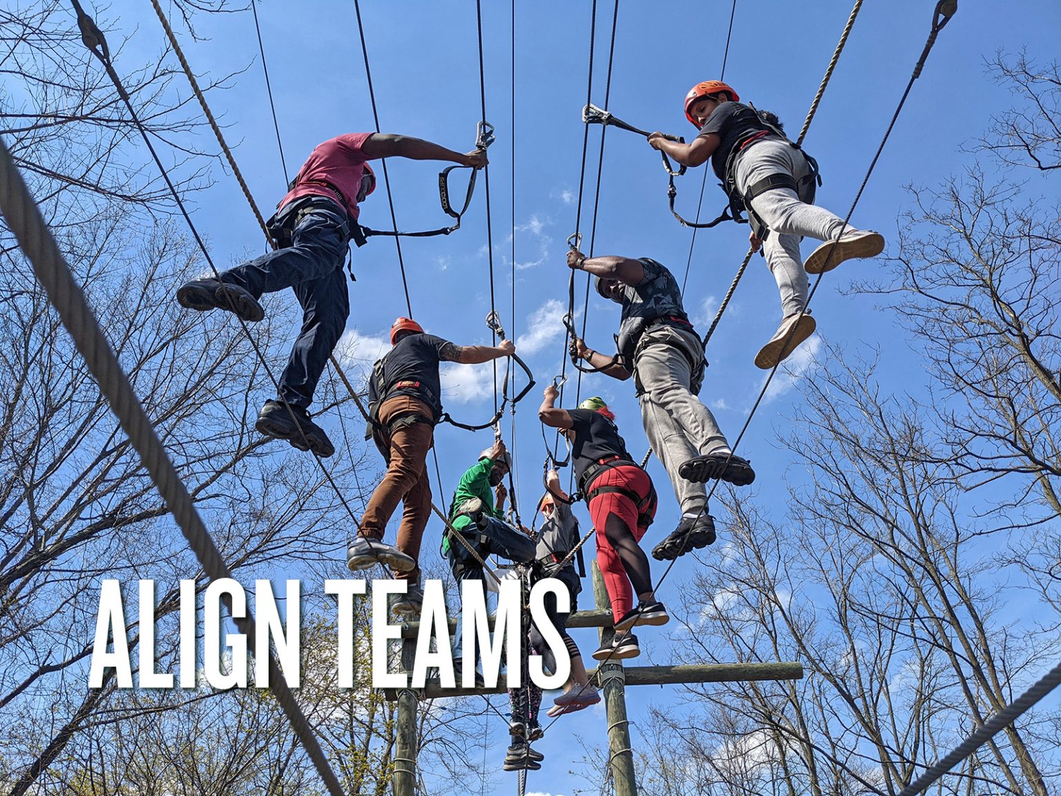 Outward Bound Professional Team Building Programs